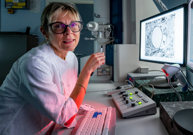 Meet The Team - University of Southampton | MIF